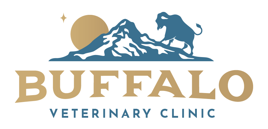Learn More About Buffalo Veterinary Clinic